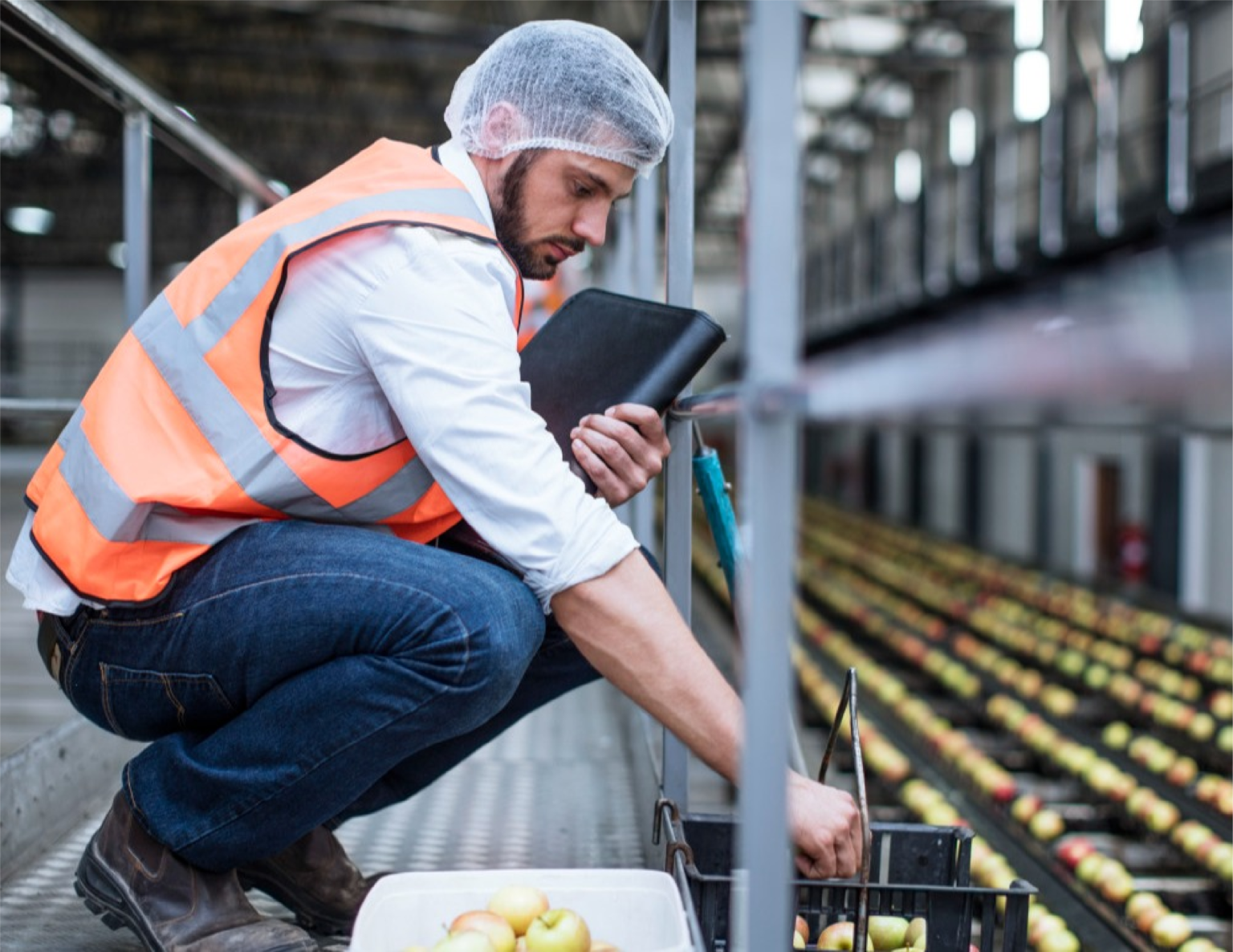 Resources - Smart Food Safe