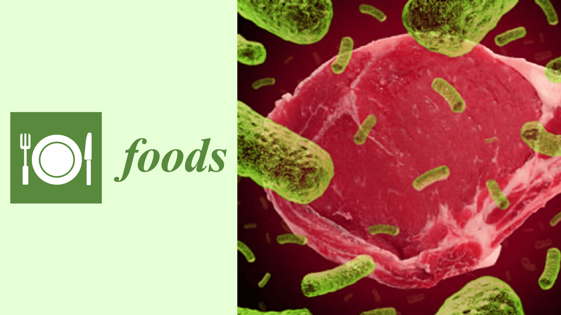 Resources - Smart Food Safe